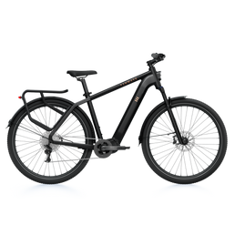 TENWAYS E-Bike: Electric Bike of Superior Value – US TENWAYS