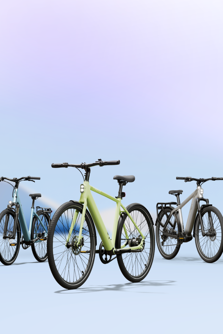 TENWAYS E-Bike: Electric Bike of Superior Value – US TENWAYS